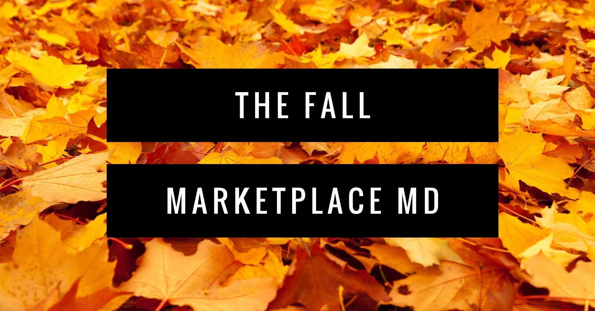 Vendor Application - The Fall Marketplace - Eventeny