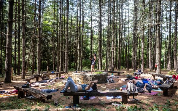 Workshop Facilitator Application - FlowJam Festival - Eventeny