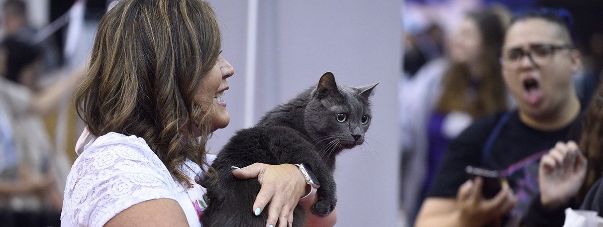 - 2024 CFA Cat Expo - Eventeny
