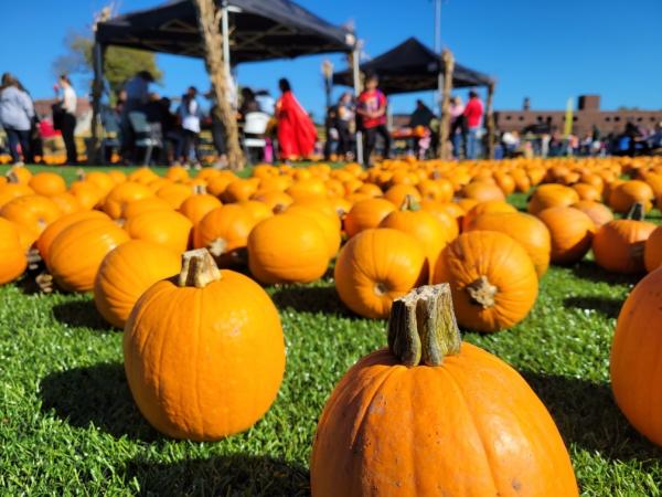 Gastonia Fall Festival - Eventeny