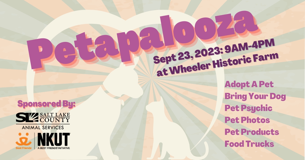 Petapalooza - Eventeny