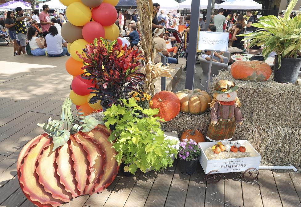 Fall Fest - Eventeny