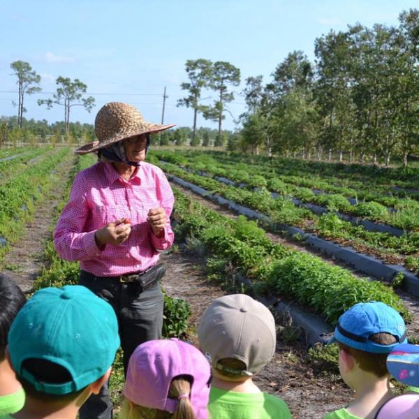 Guided Farm Tour - Eventeny