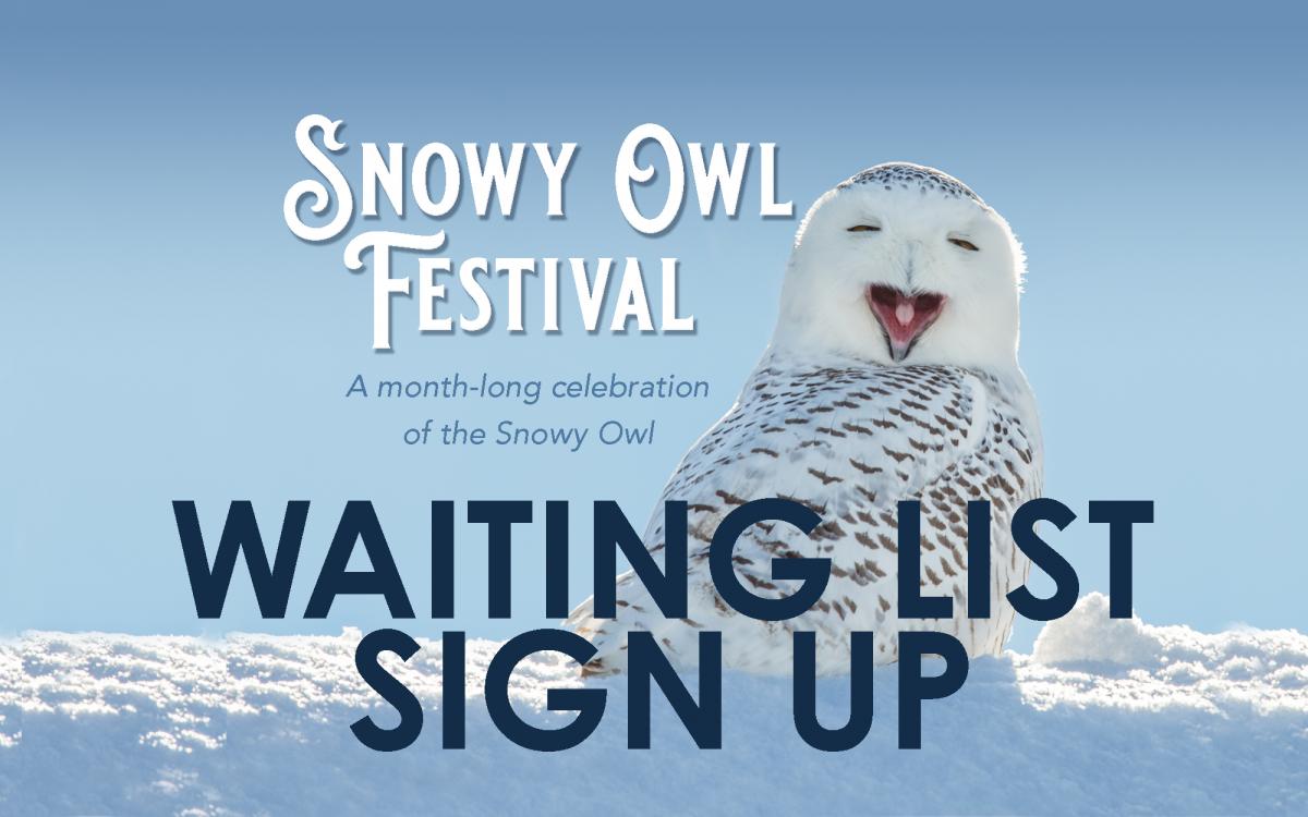Tickets - Snowy Owl Festival - Eventeny
