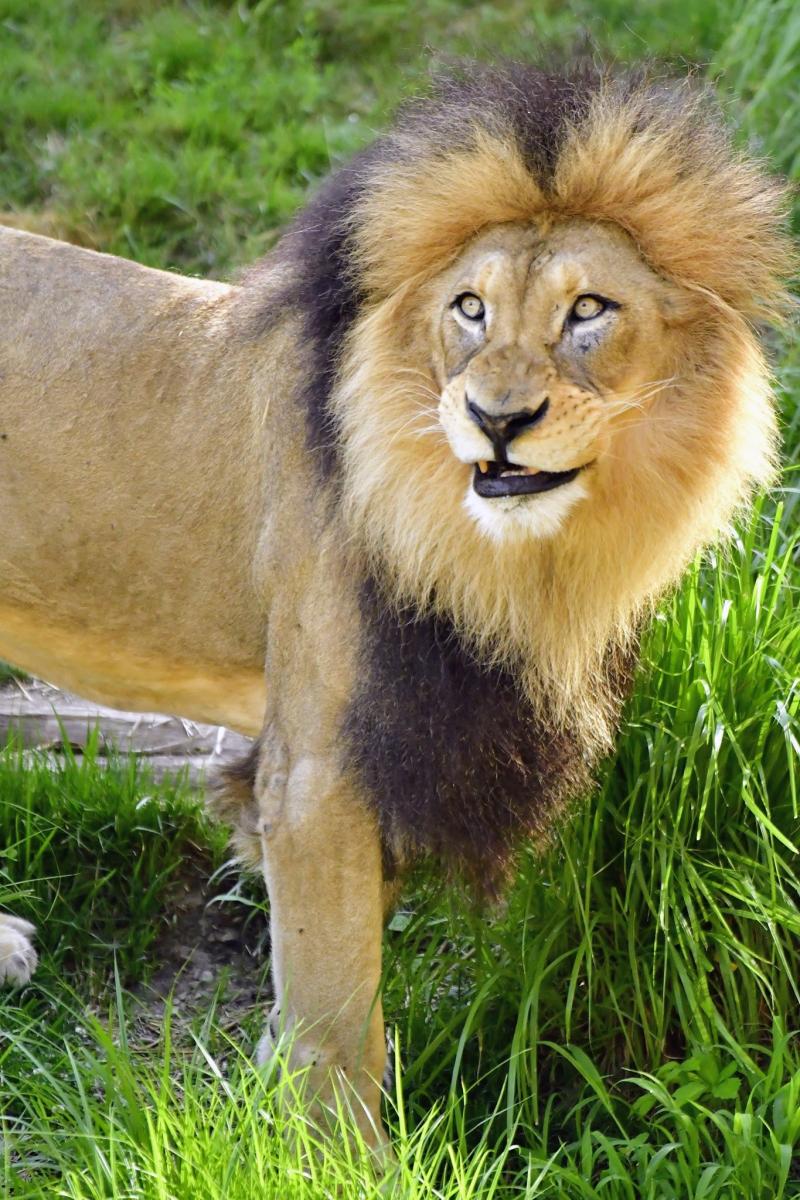 Charmed Life Creative - Milford - Ohio - United States - Eventeny