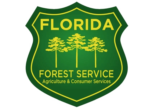 Florida Forest Service - Brooksville - Florida - United States ...