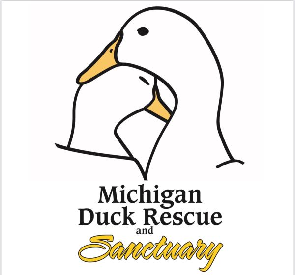Michigan Duck Rescue and Sanctuary - South Lyon - Michigan - United ...