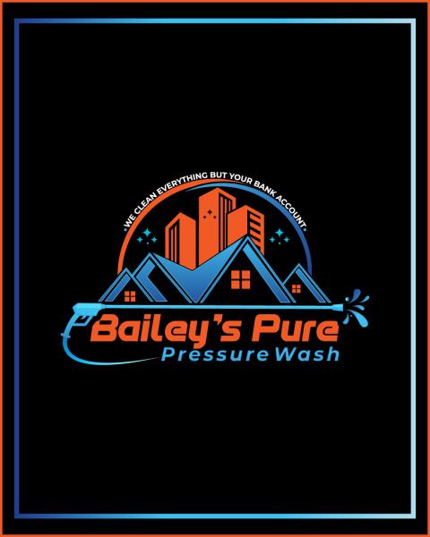 Bailey's Pure Pressure Wash - Orlando - Florida - United States - Joel ...