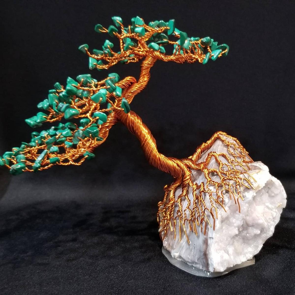 Gem Bonsai - Layton - Utah - United States - Joshua - Eventeny