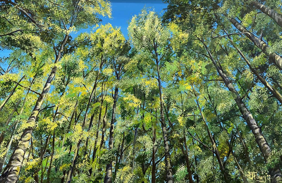 Summer Dream - Eventeny