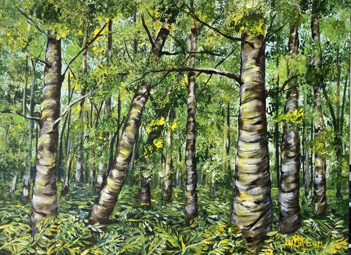 4 Seasons - Summer - Eventeny