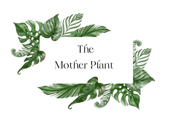 The Mother Plant - Alachua - Florida - United States - Leah Gaskill ...