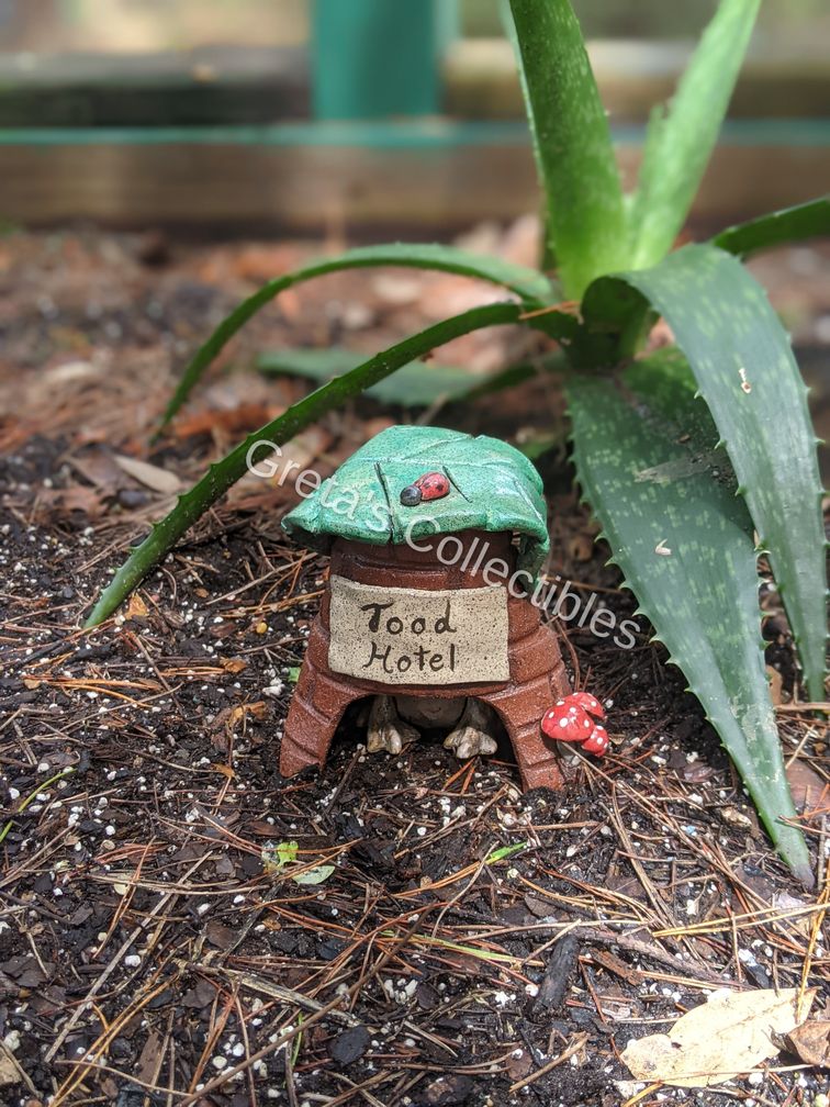 Toad Hotel - Eventeny