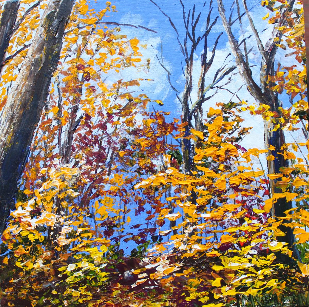 A New Path - Eventeny