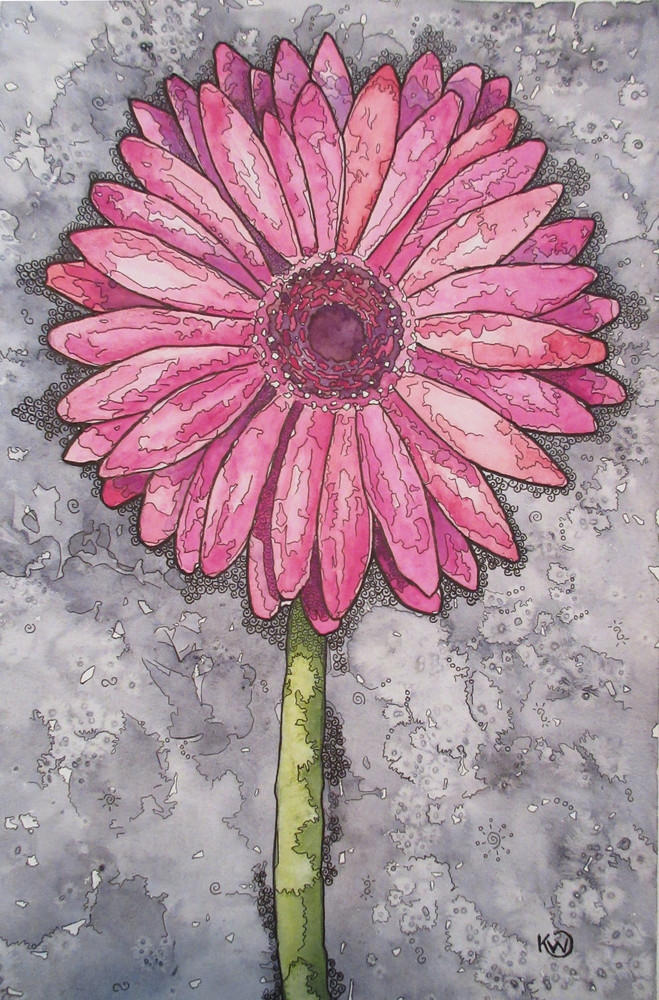Pink Gerber Daisy - Eventeny