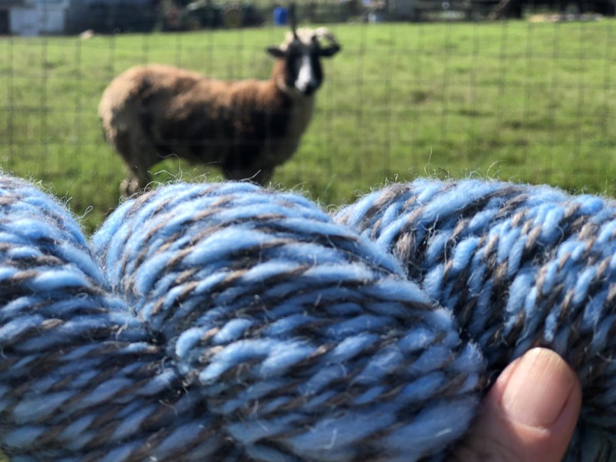 Jacob yarn SE2SE - Eventeny