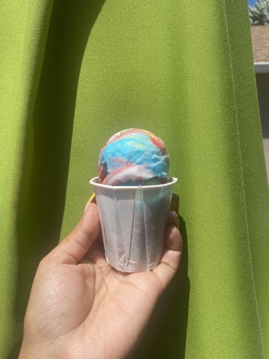 Big Apple New Yorks Gourmet Italian ice - Riverview - Florida - United ...