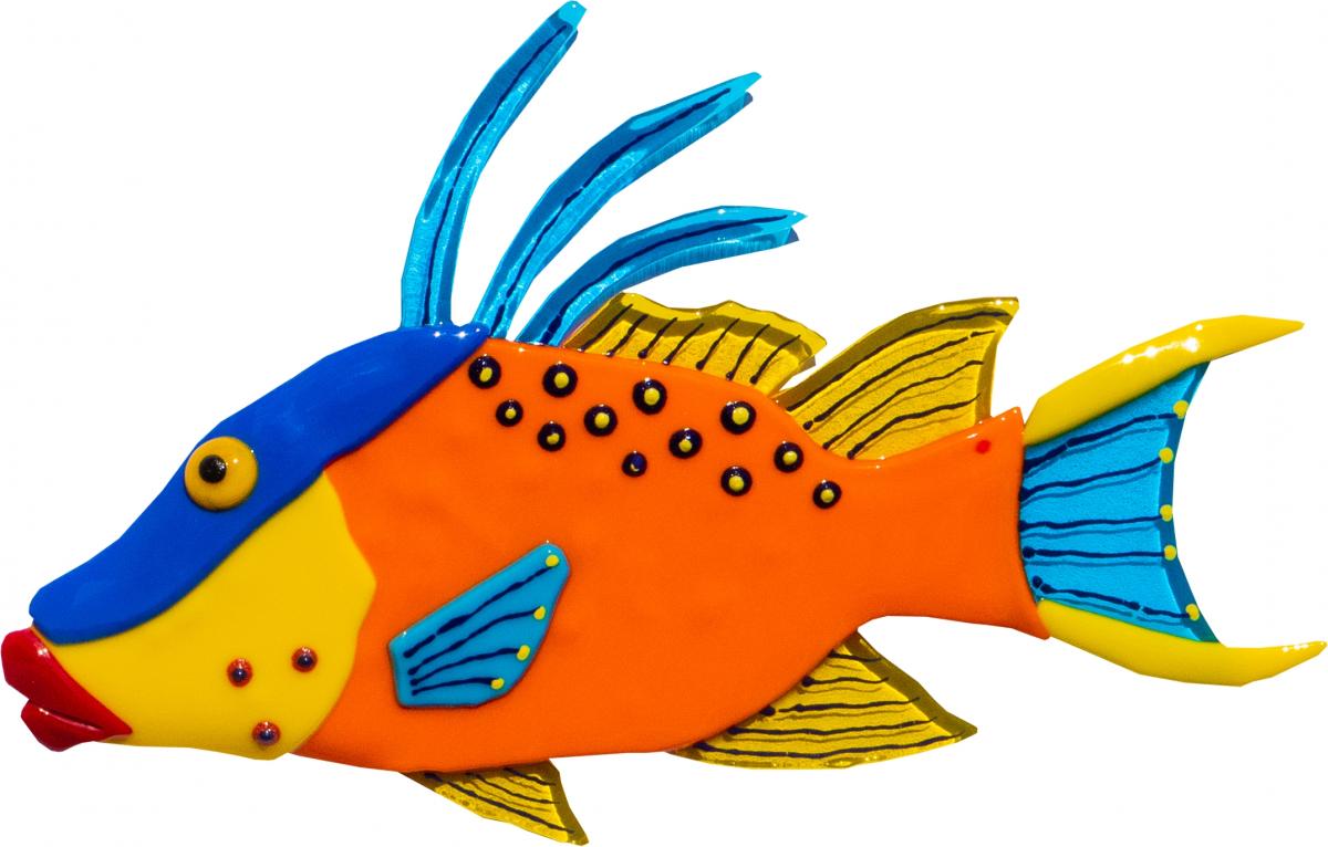 Hog Snapper - Small - Eventeny