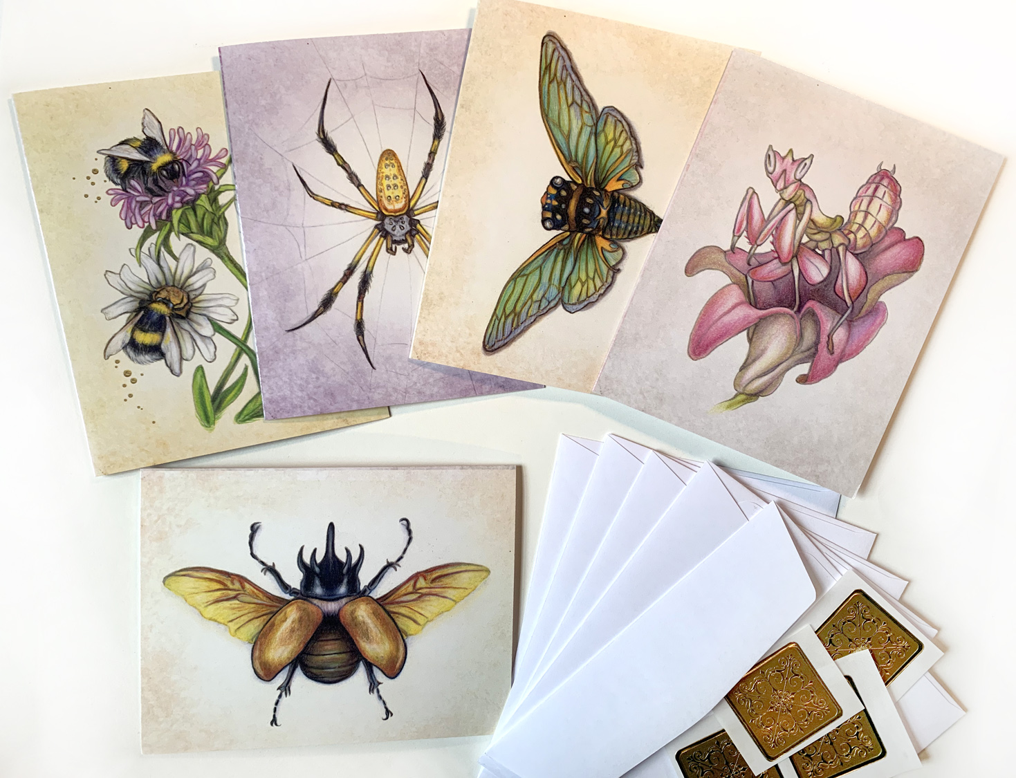 Note Cards, Unique Insects with gold accents 4.5 x 5.5 - Eventeny