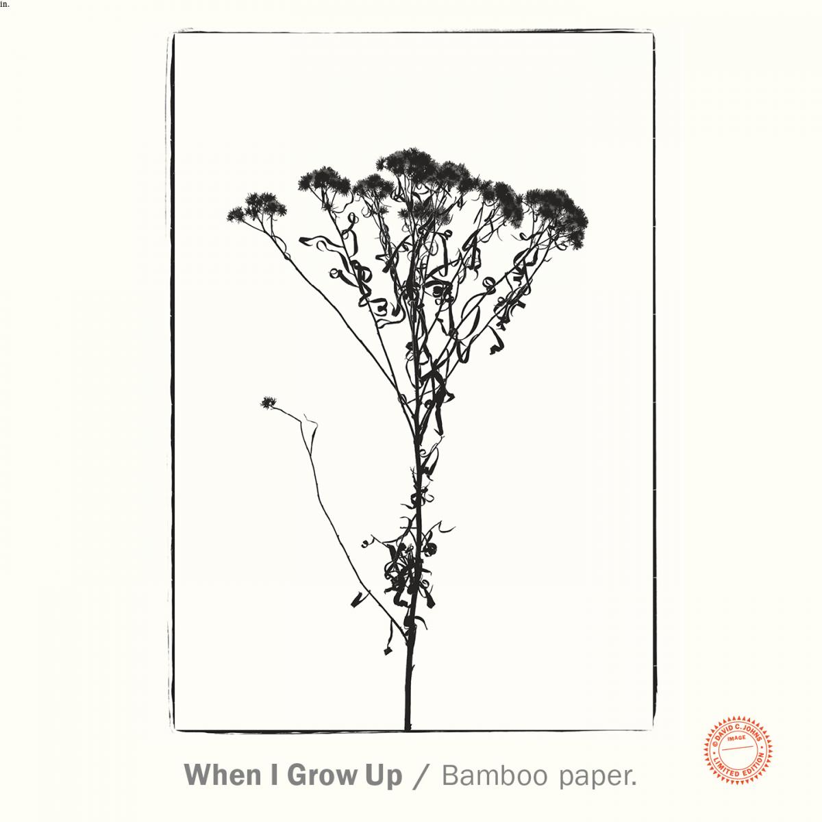 NUMBERED PRINTS - Eventeny