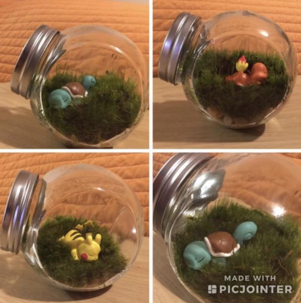 Sleeping Pokemon Living Moss Ecosystem // Charmander// Squirtle ...