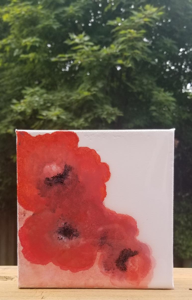 Mini poppies - Eventeny