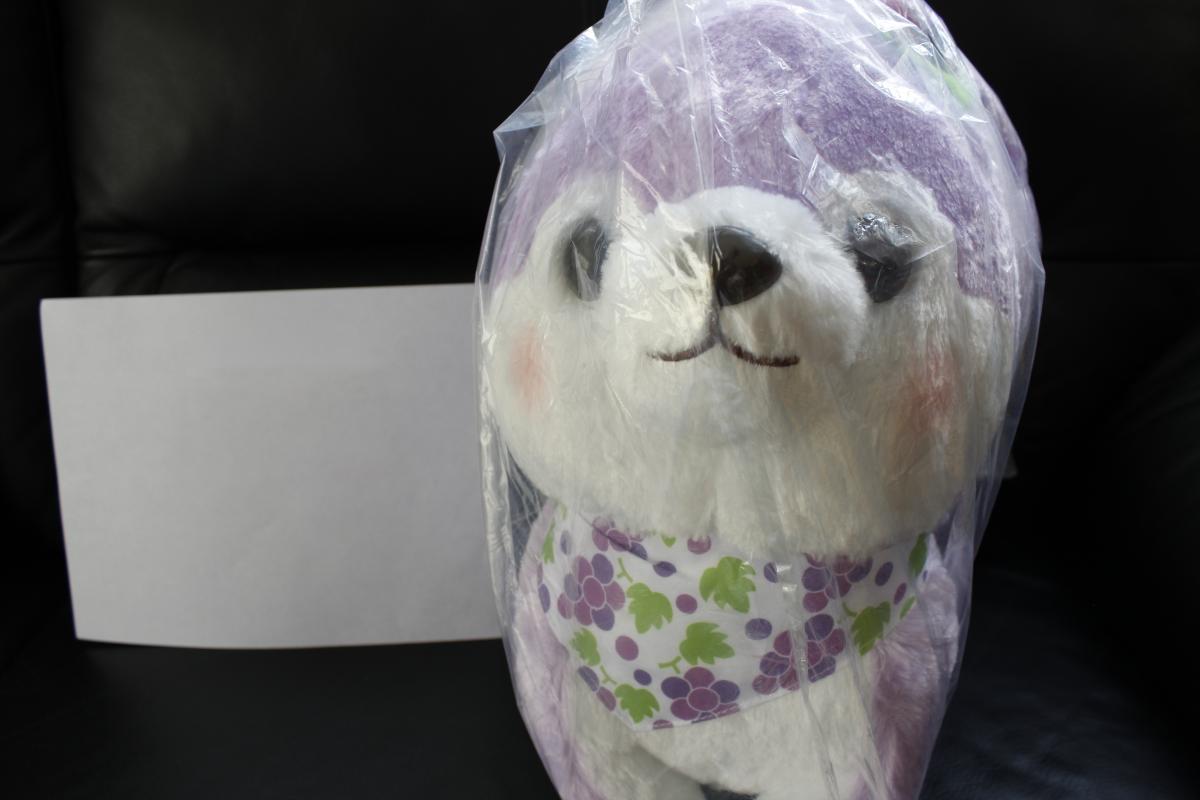 Mameshiba grape dog plush - Eventeny