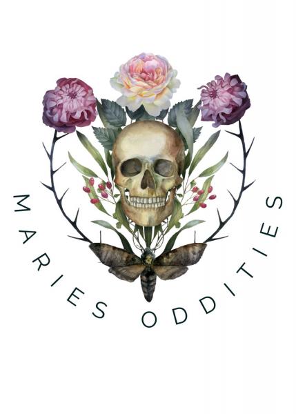 Marie’s Oddities - Cleveland - Tennessee - United States - Marie - Eventeny