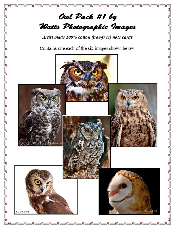 Owl Pack #1 - Eventeny