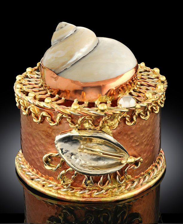 Memory box with natural shell - Eventeny