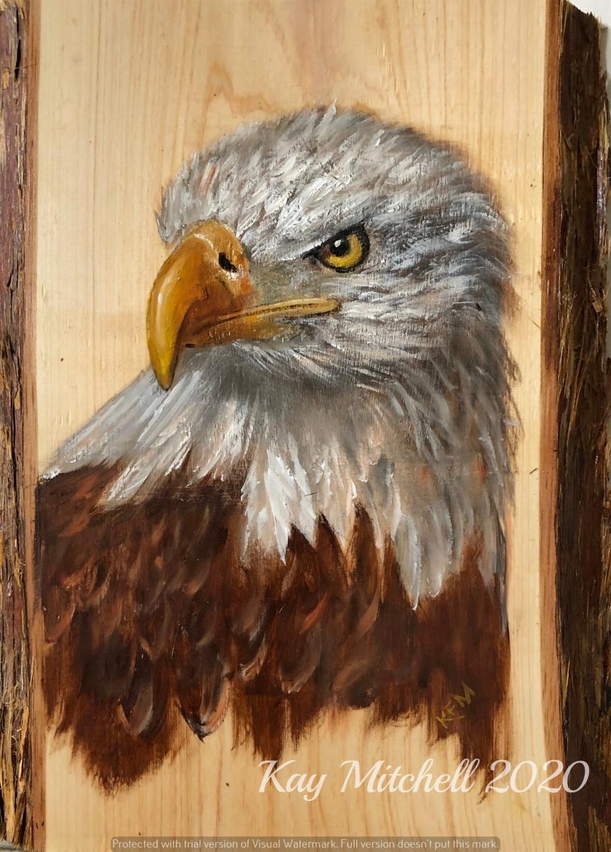 "I'm a Bald Eagle" - Eventeny