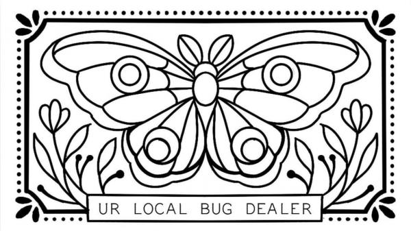 Your Local Bug Dealer - Eventeny