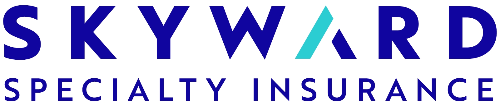 Skyward Specialty Insurance - Houston - Texas - United States - Skip ...