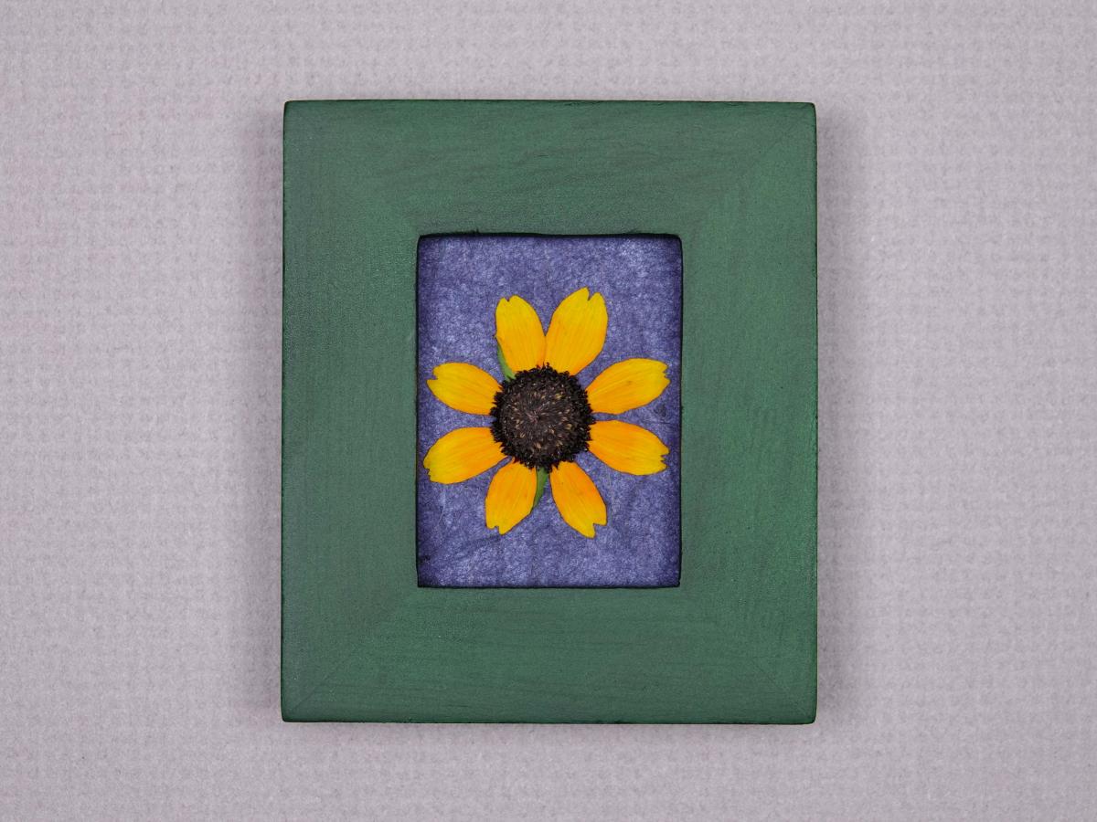 Pressed Flowers - "Little Suzie" Sunflowers - Eventeny