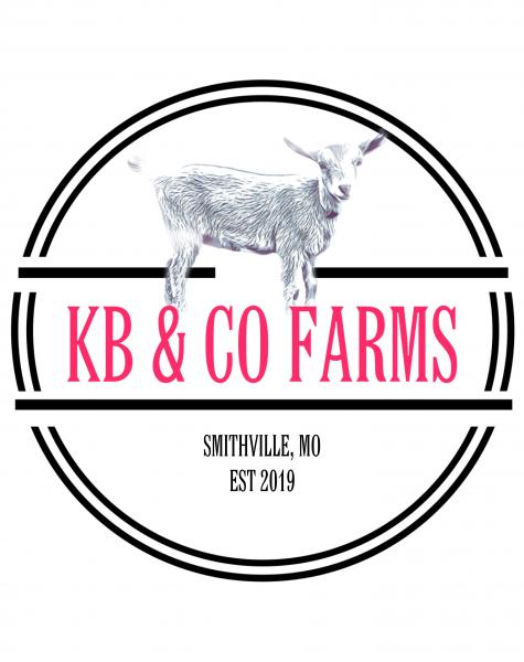 KB & Co Farms - Wine Walk & Christmas Market 2023 - Smithville ...