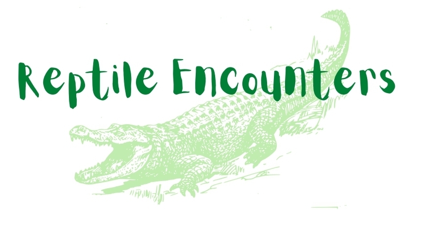 Reptile Encounters - Summer Kick Off 2023! - PALATKA - Florida - United ...