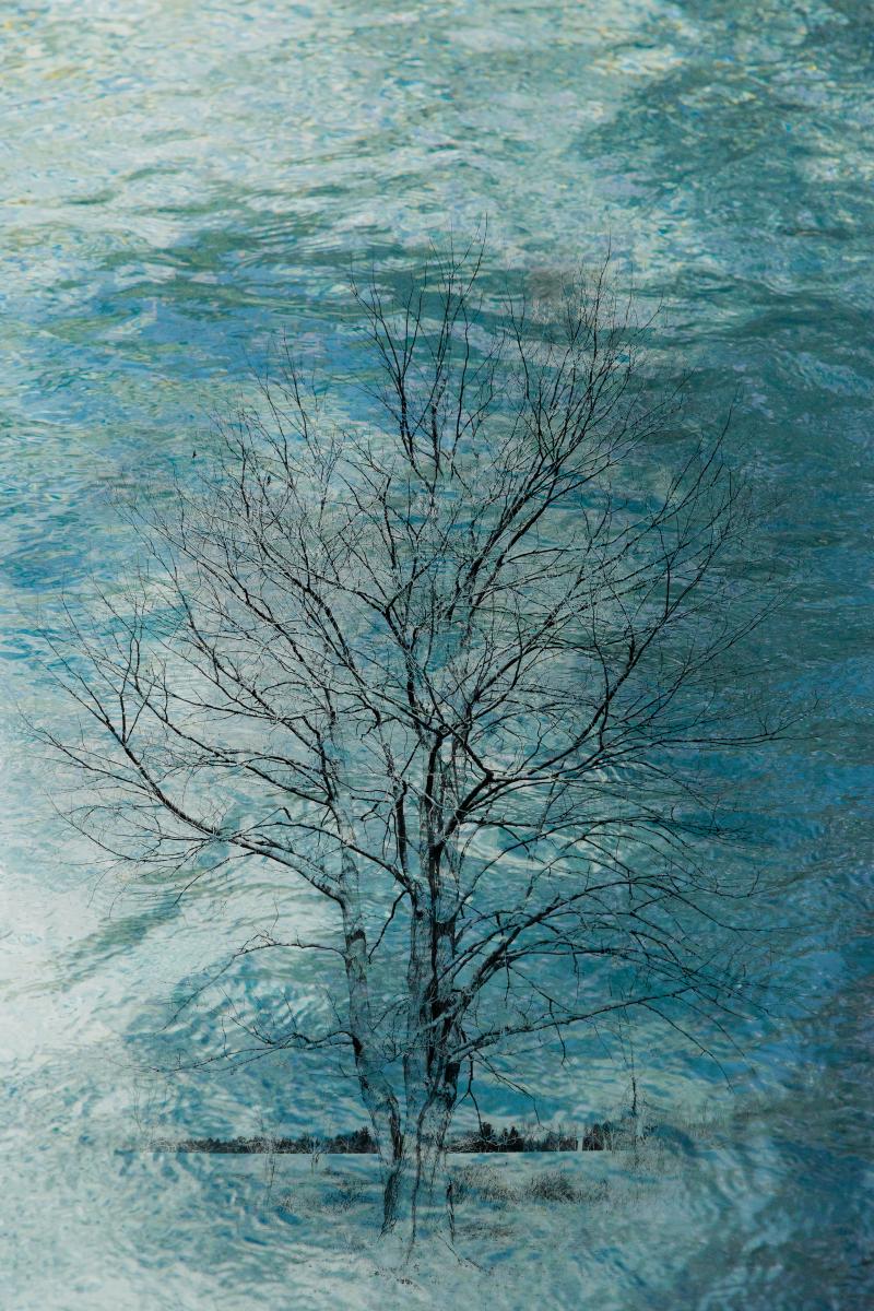 Waterlogged - Eventeny