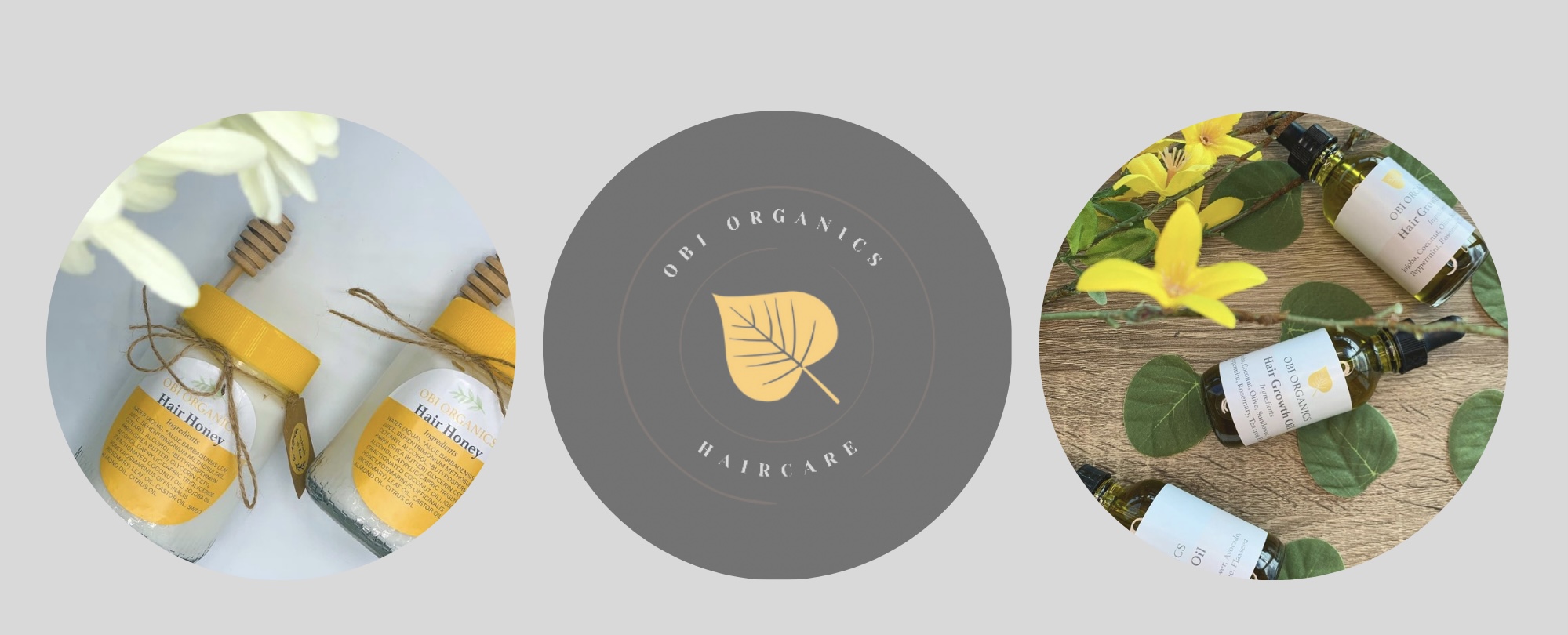 Obi Organics - Kennesaw - Ga - United States - Josephine - Eventeny