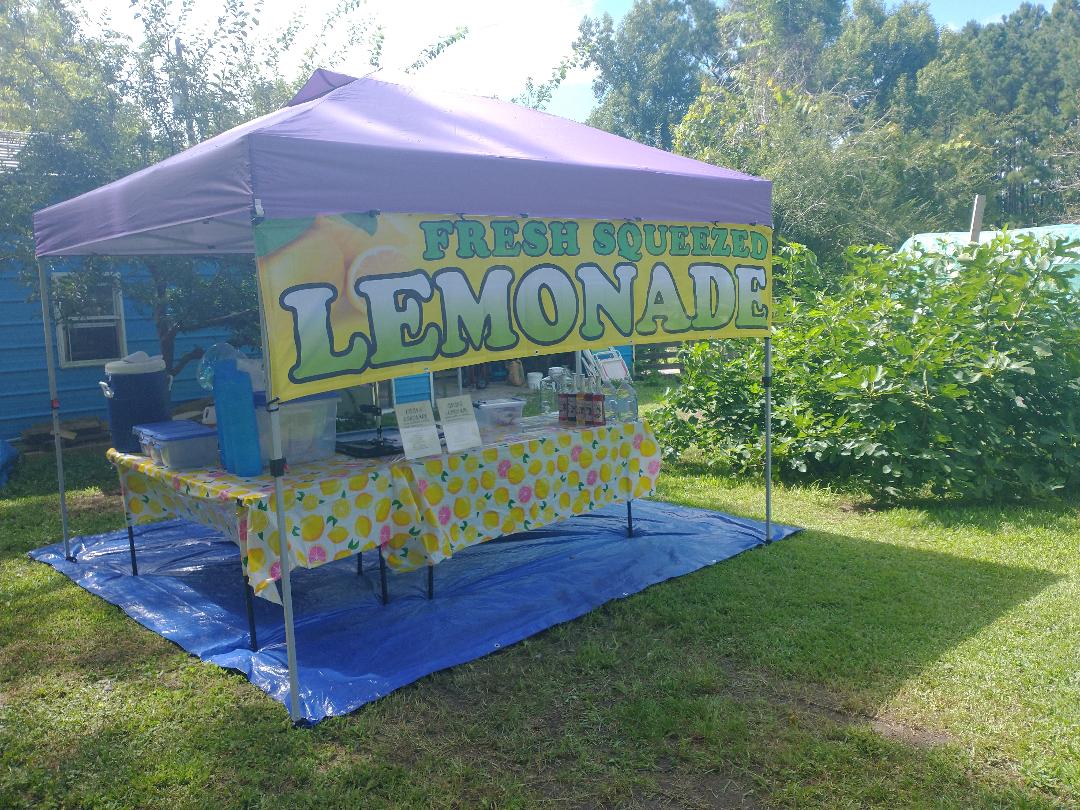Tiki hut lemonade - Havelock - North Carolina - United States - William ...