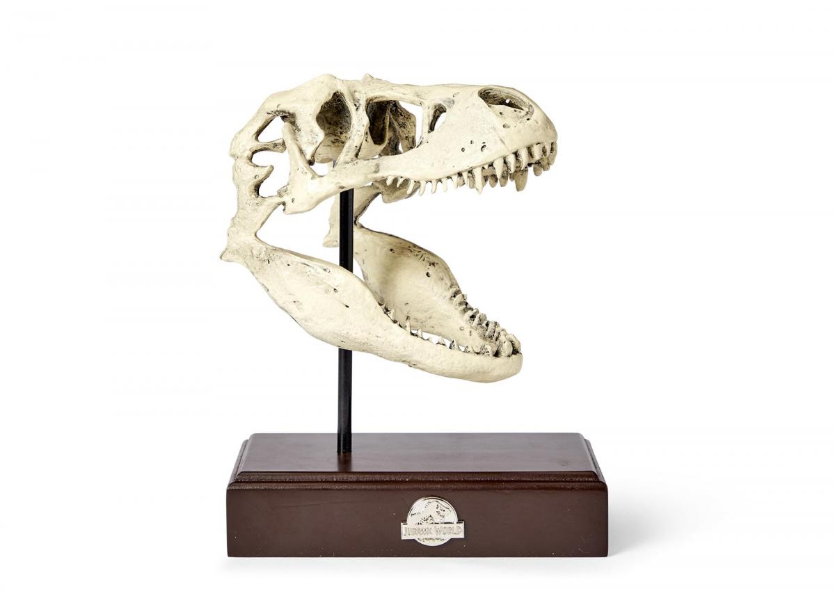 Jurassic World 9x8 Inch T-Rex Skull Resin Replica - Eventeny