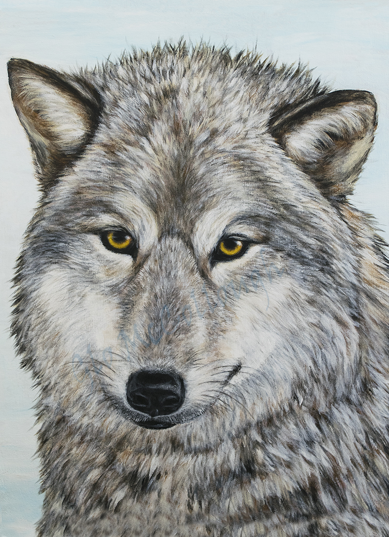 Casper the Wolf 5"x7" Print - Eventeny