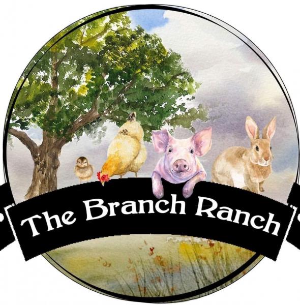 The Branch Ranch - Celina - Texas - United States - Brittany - Eventeny