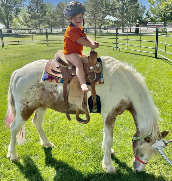 Rigby Unicorn and Pony Rides - Price - Utah - United States - Landon ...