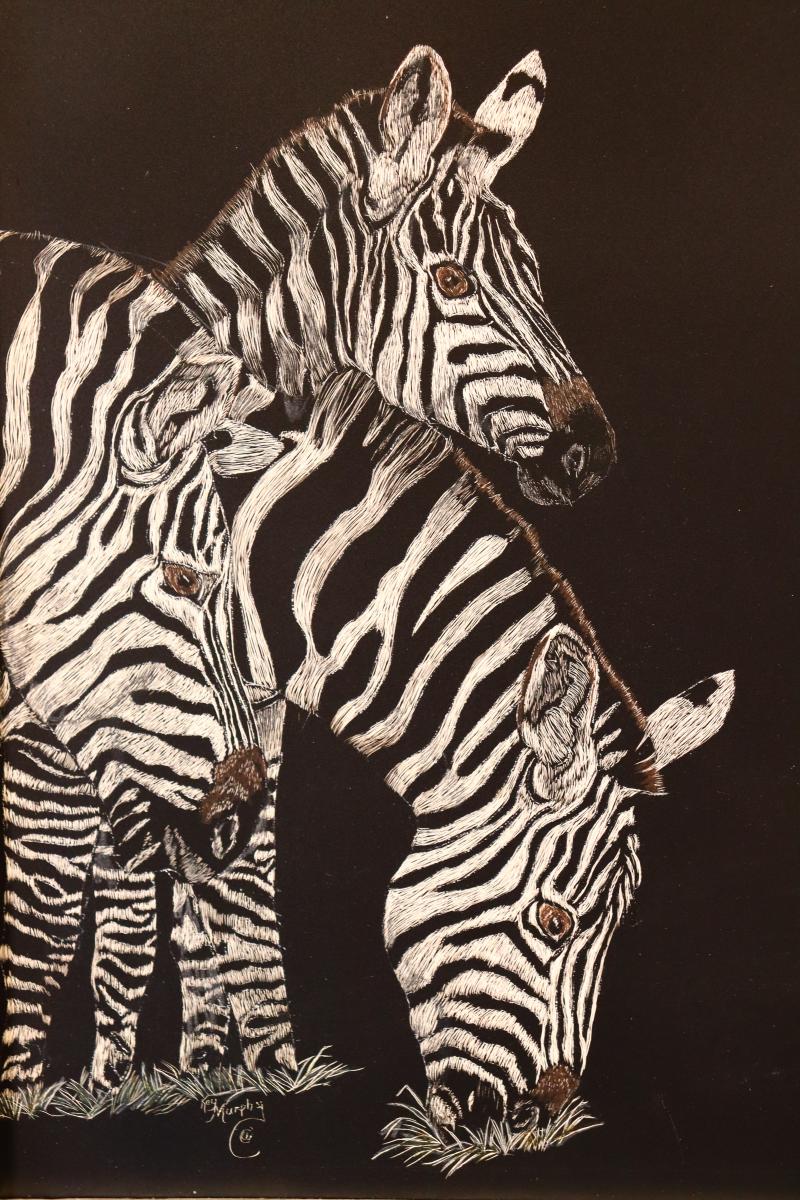 Scratchboard Three Zebras - Eventeny