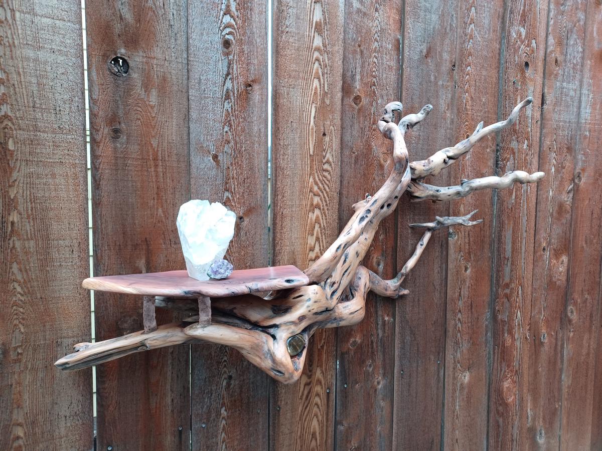 MANDRAKE ROOTS - Ashland - Oregon - United States - Kurt Norpchen ...