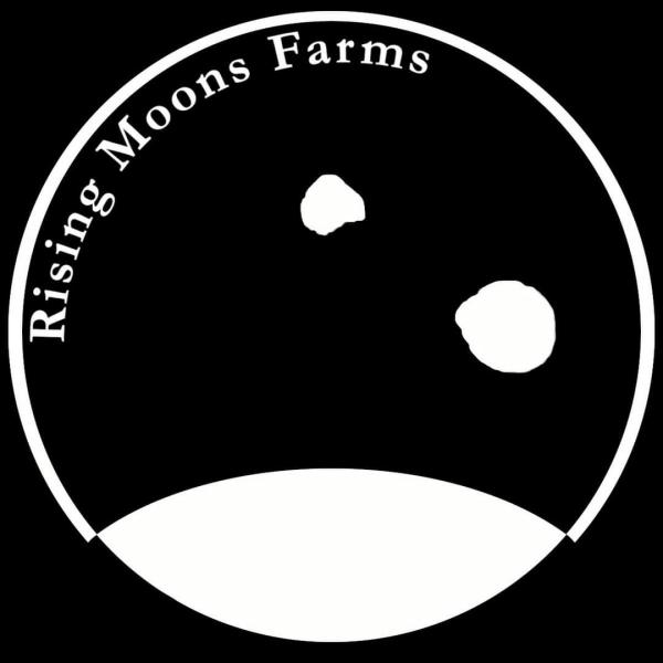 Rising Moons Farms: Dust to Dust Studio - Philadelphia - Tennessee ...