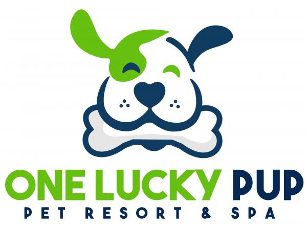 One Lucky Pup Pet Resort & Spa - Charlotte - North Carolina - United ...