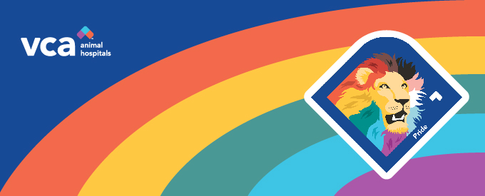 VCA Sinking Spring Animal Hospital - Sinking Spring - Pennsylvania ...