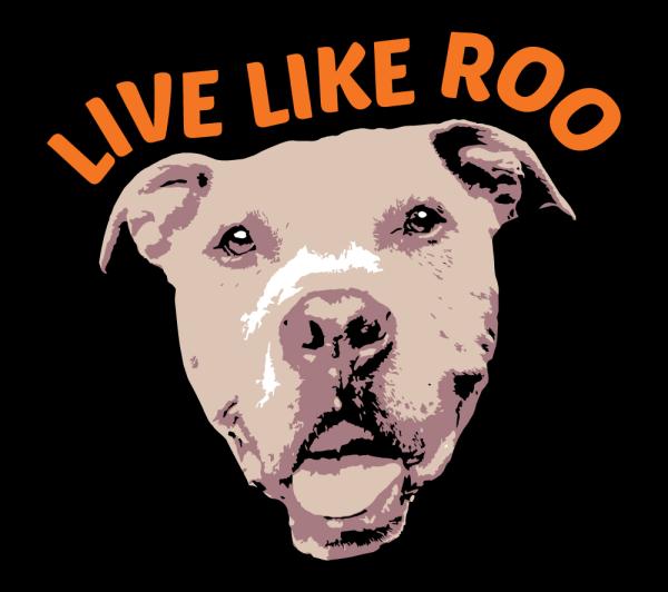 Live Like Roo Foundation - Arlington Heights - Illinois - United States ...
