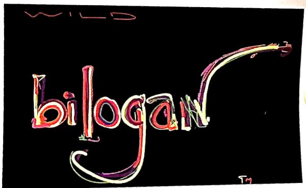 William Tracy Logan - Belle Isle - Florida - United States - William ...